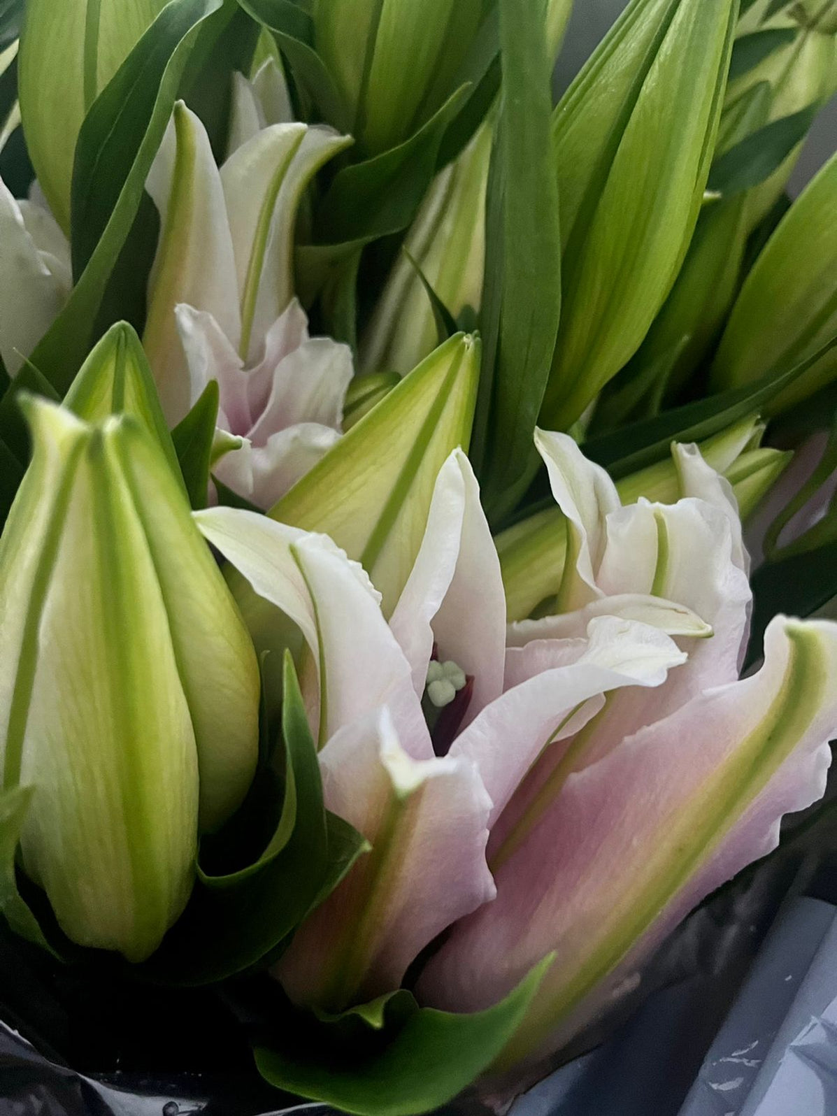 Florette's Flower Market