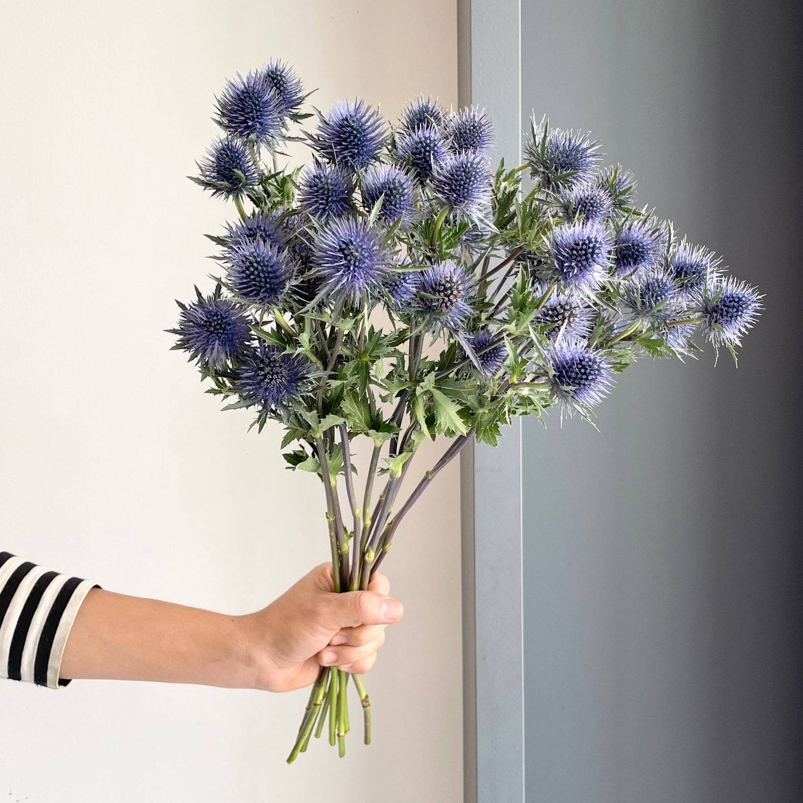 Florette's Flower Market
