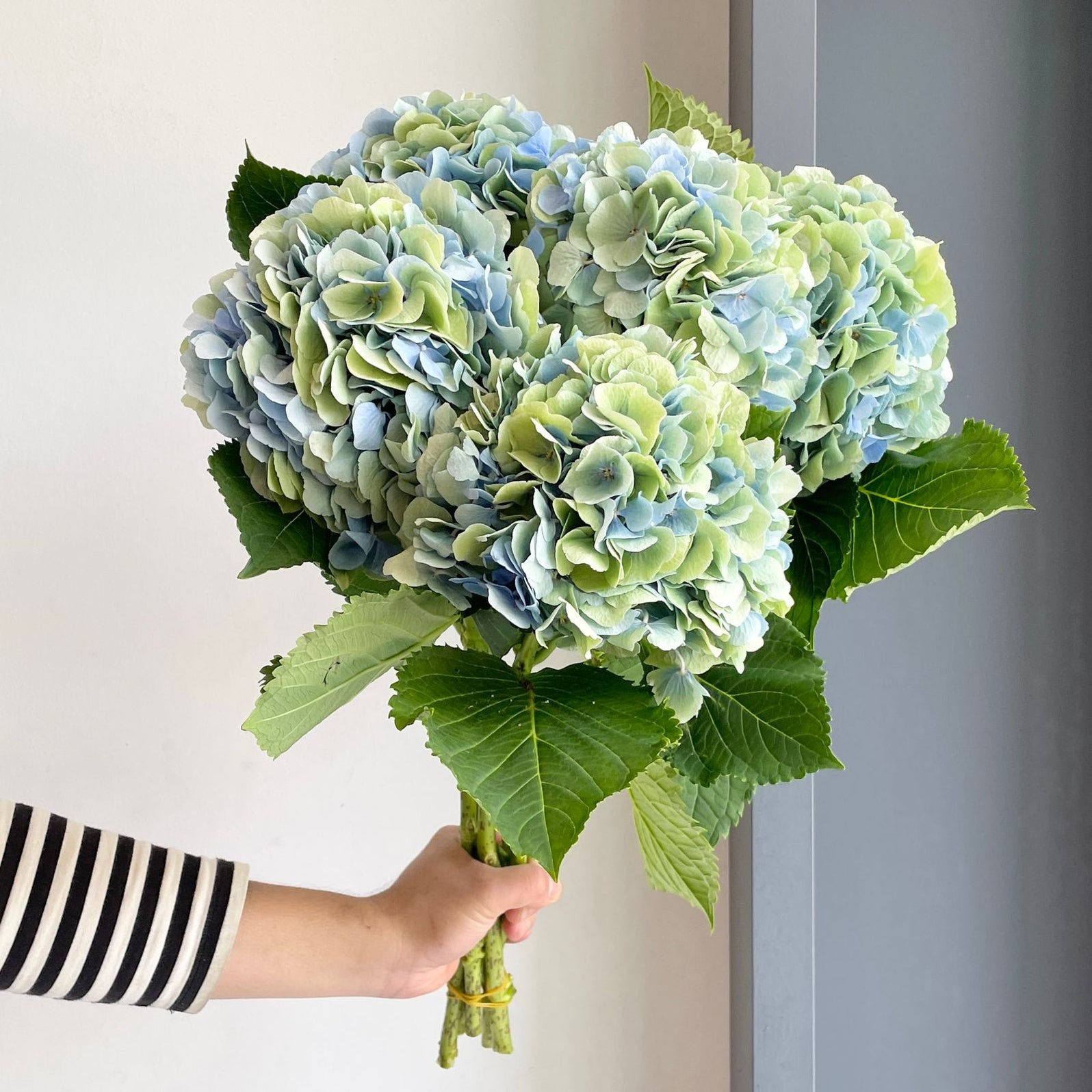 Florette's Flower Market