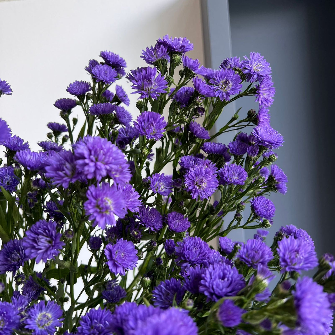 Florette's Flower Market