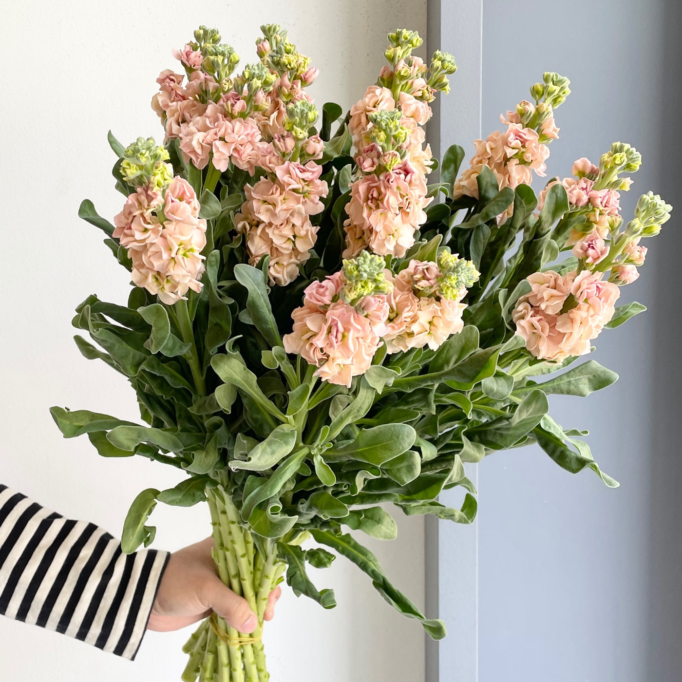 Florette's Flower Market