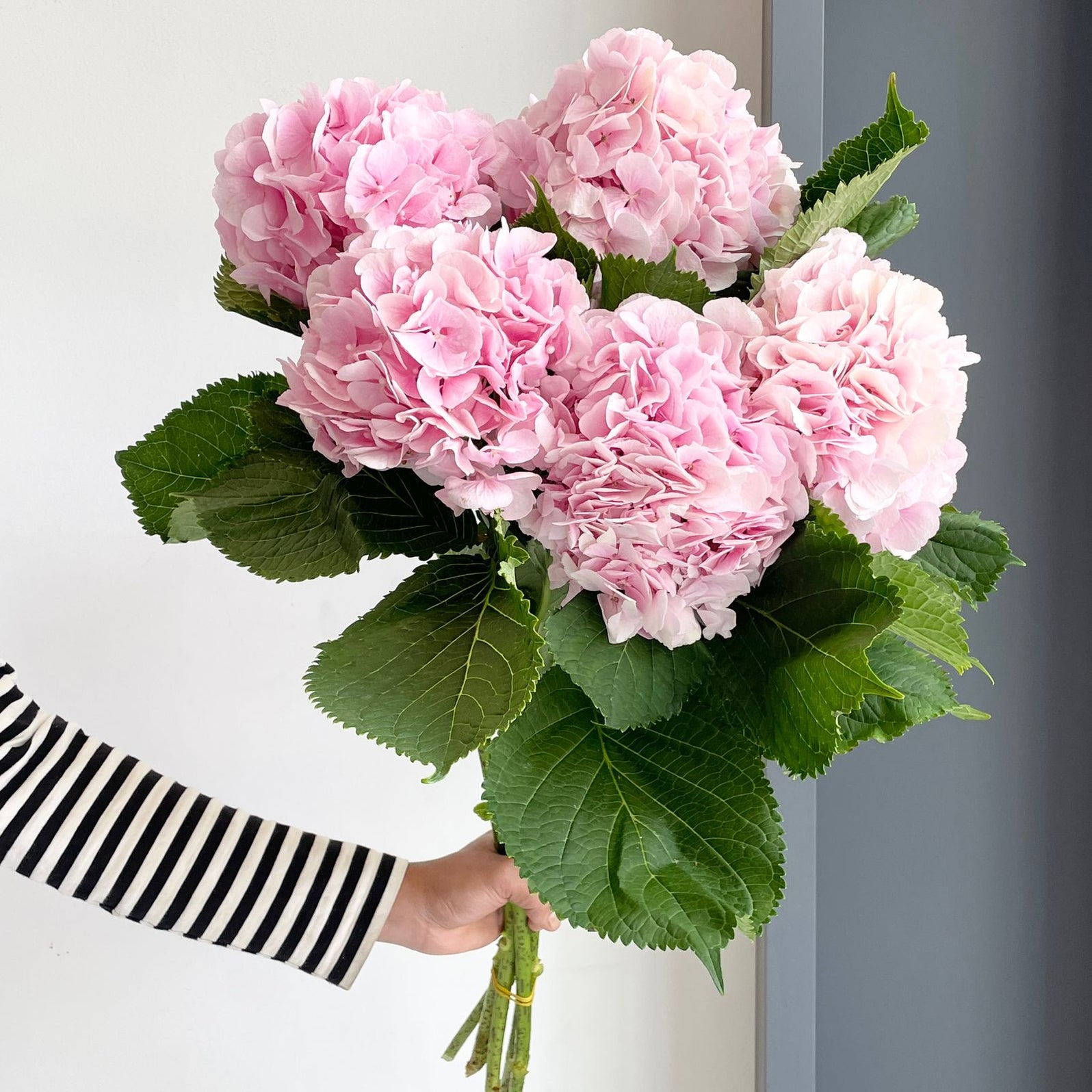 Florette's Flower Market