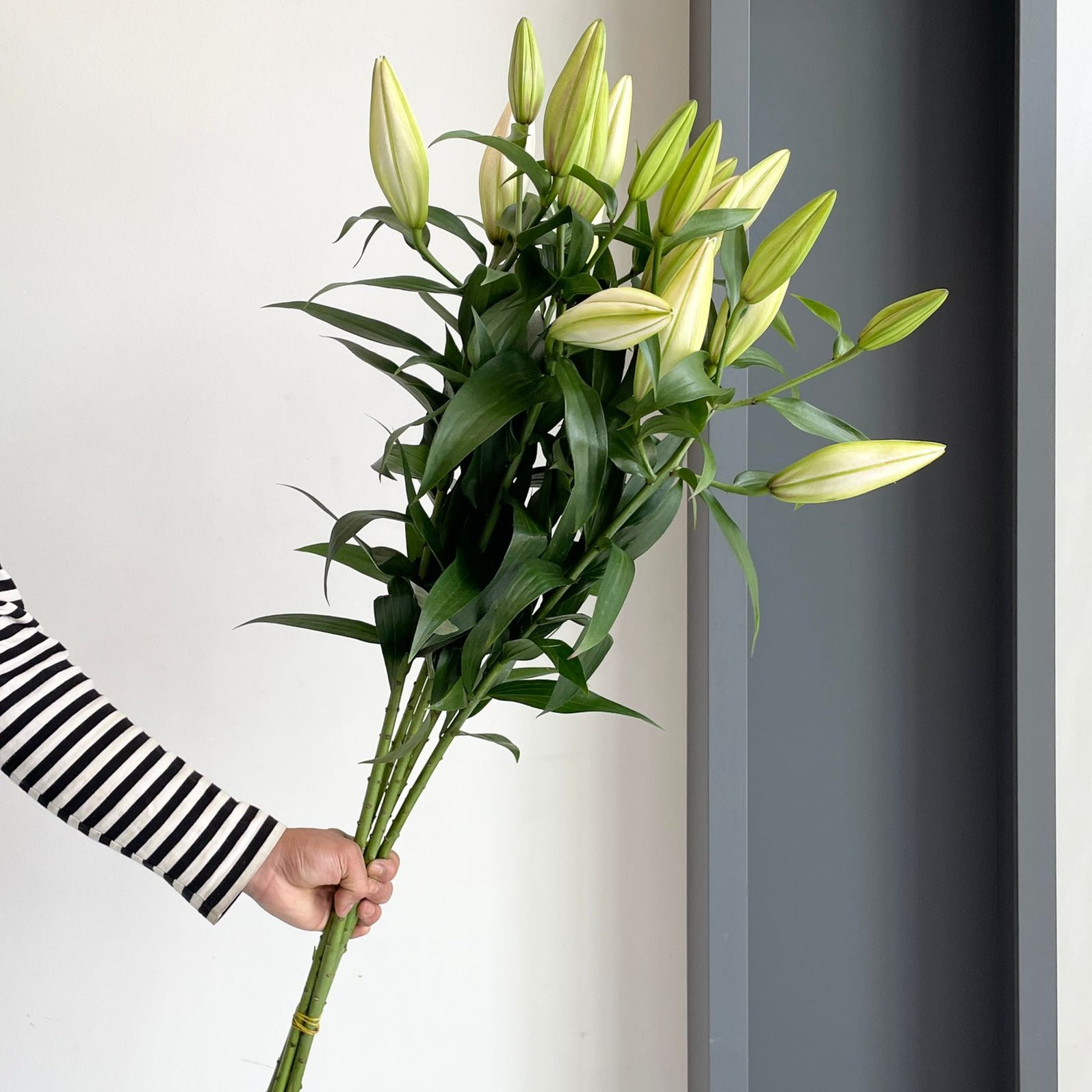 Florette's Flower Market