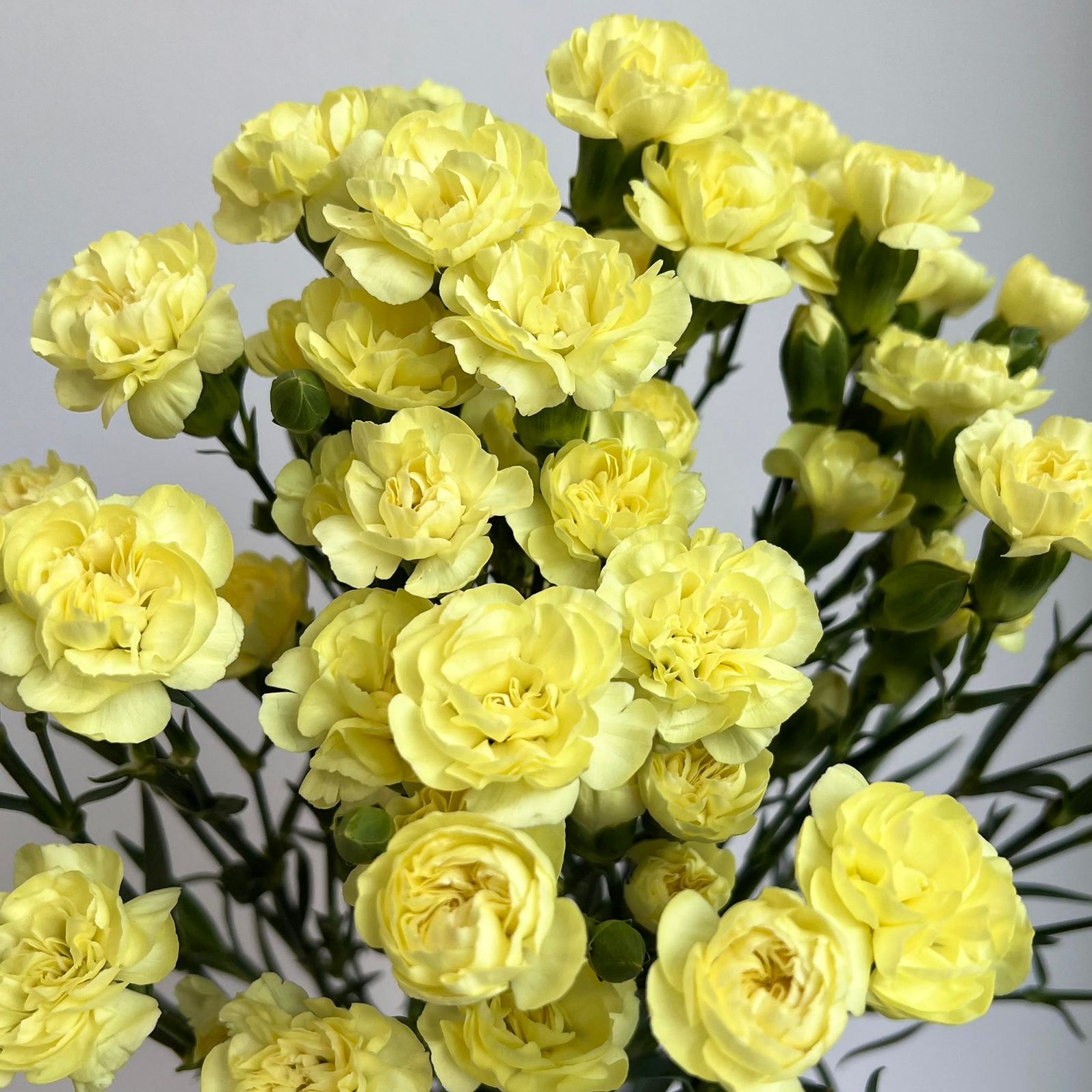 Florette's Flower Market