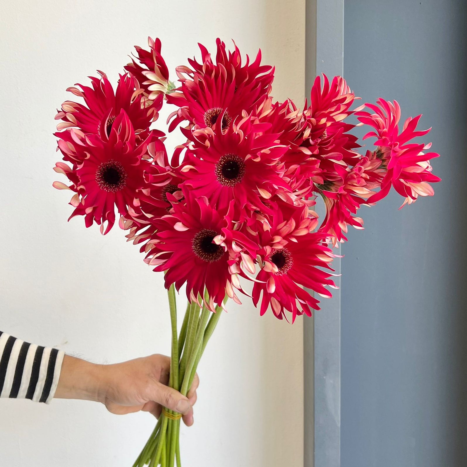 Florette's Flower Market