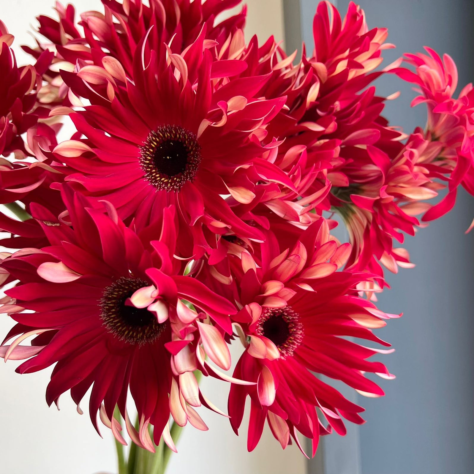 Florette's Flower Market