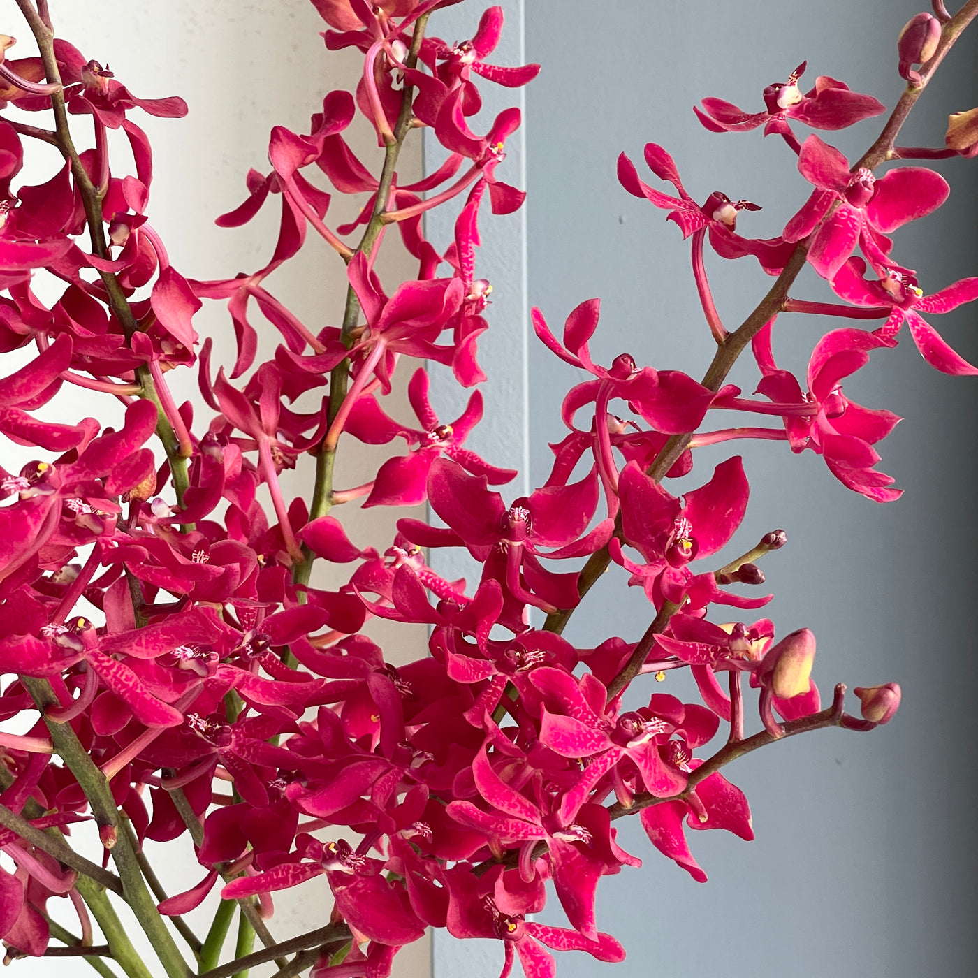 Florette's Flower Market