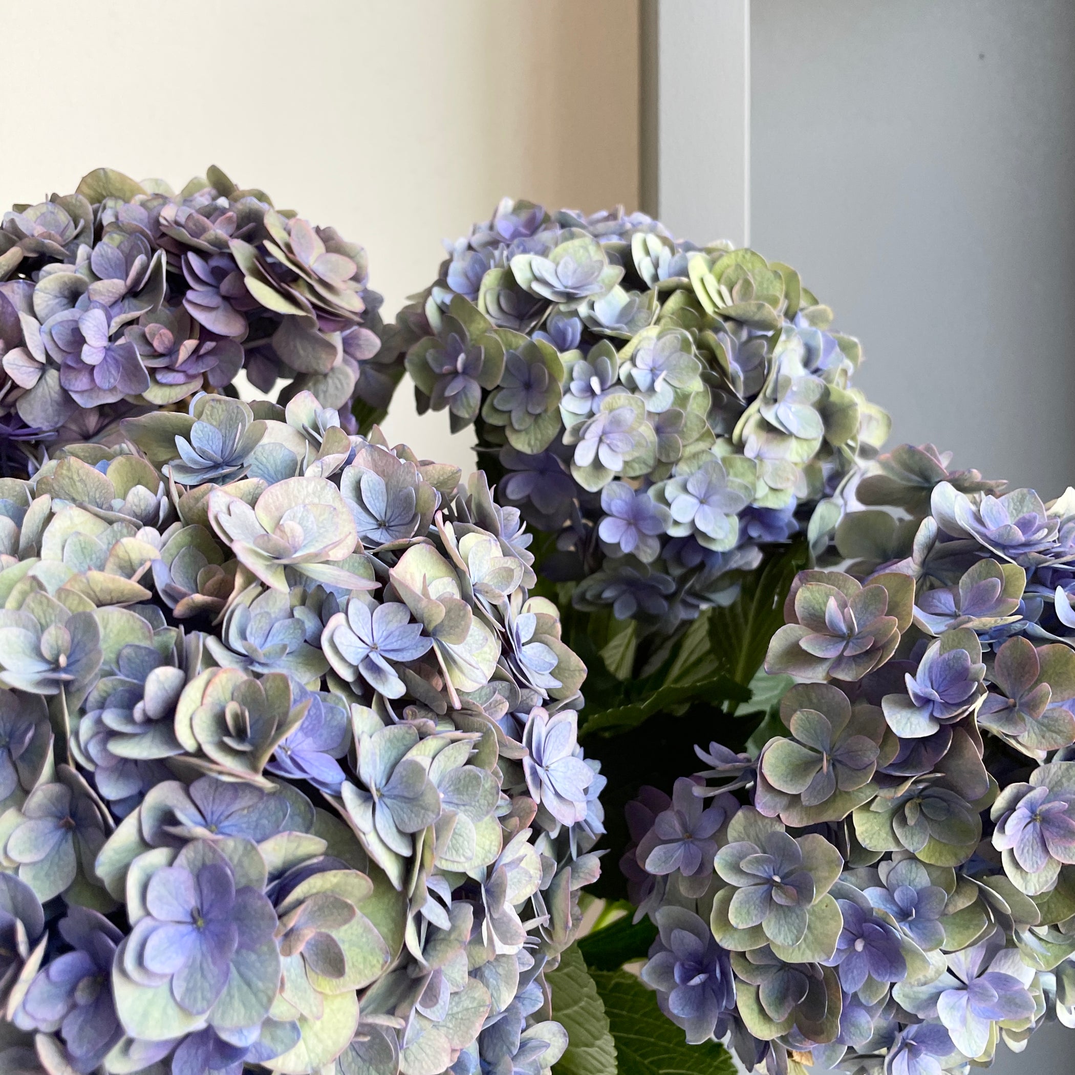 Florette's Flower Market