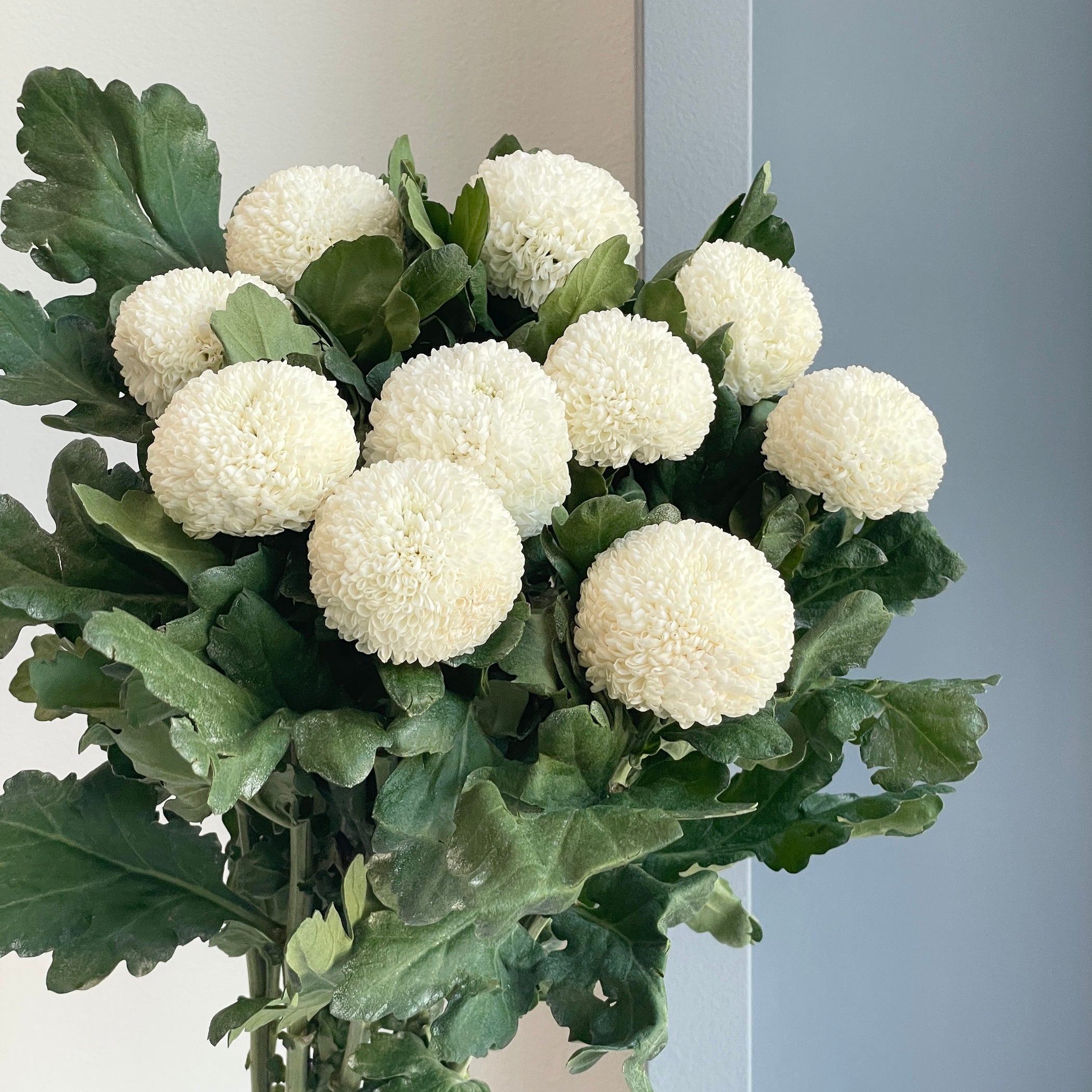 Florette's Flower Market