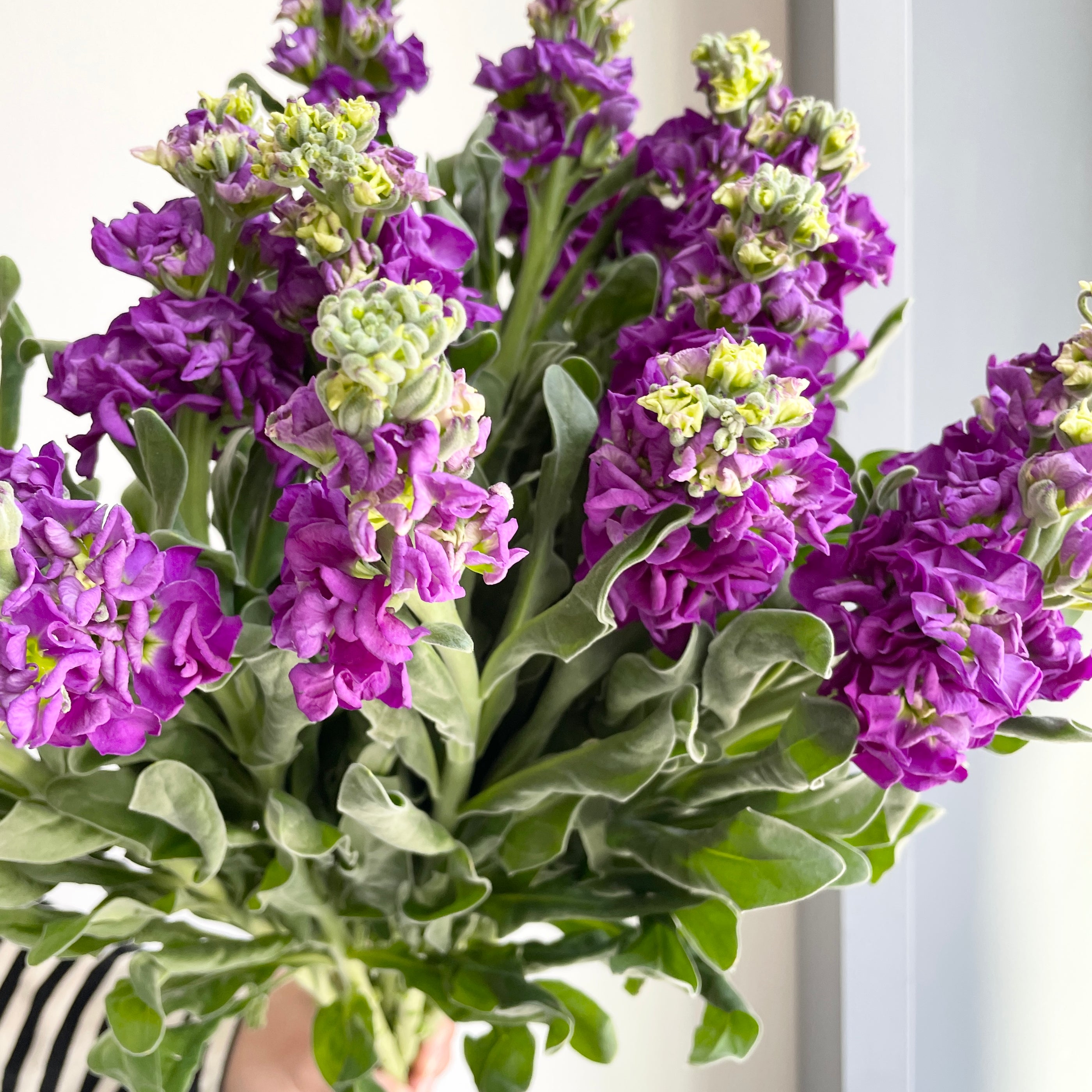 Florette's Flower Market