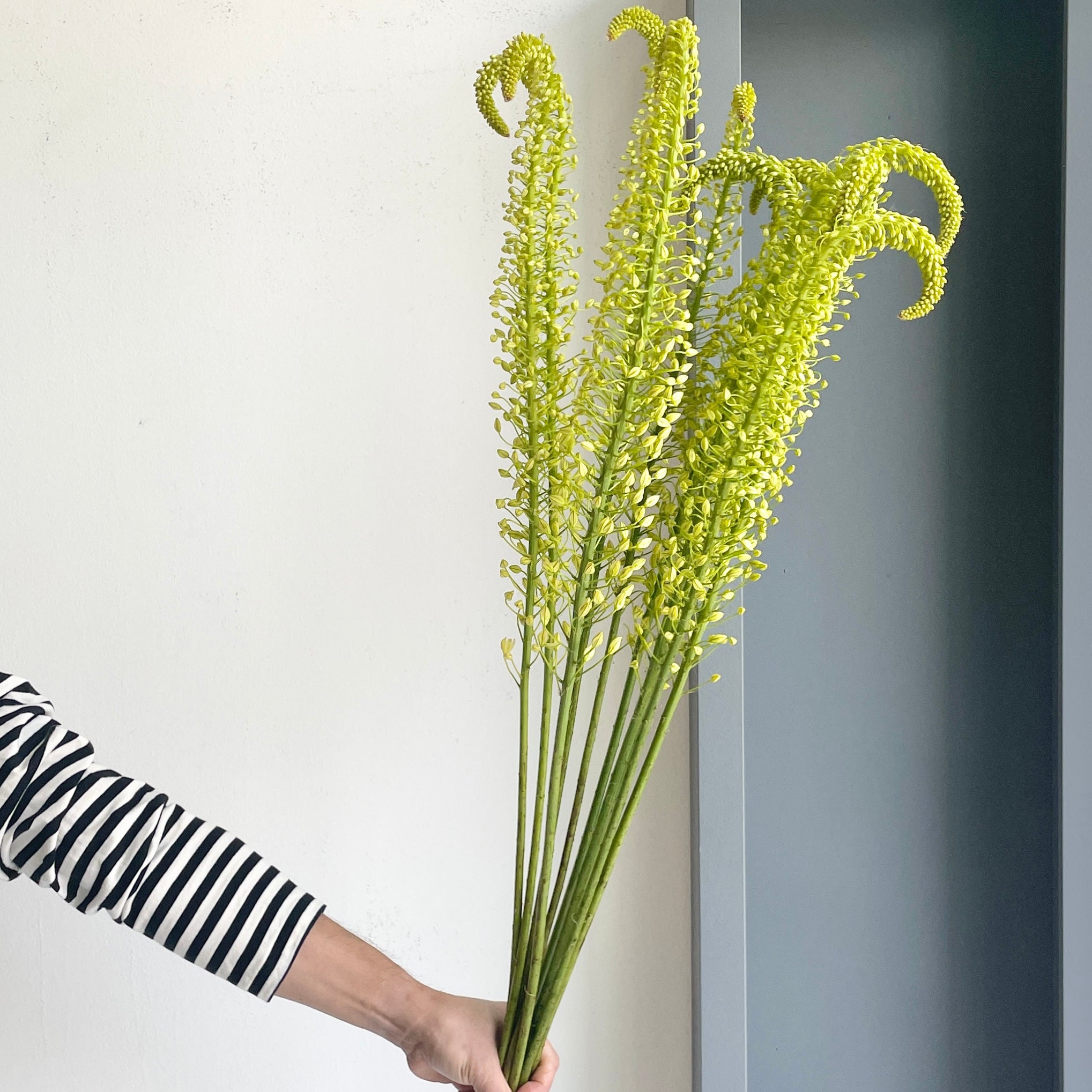 Florette's Flower Market