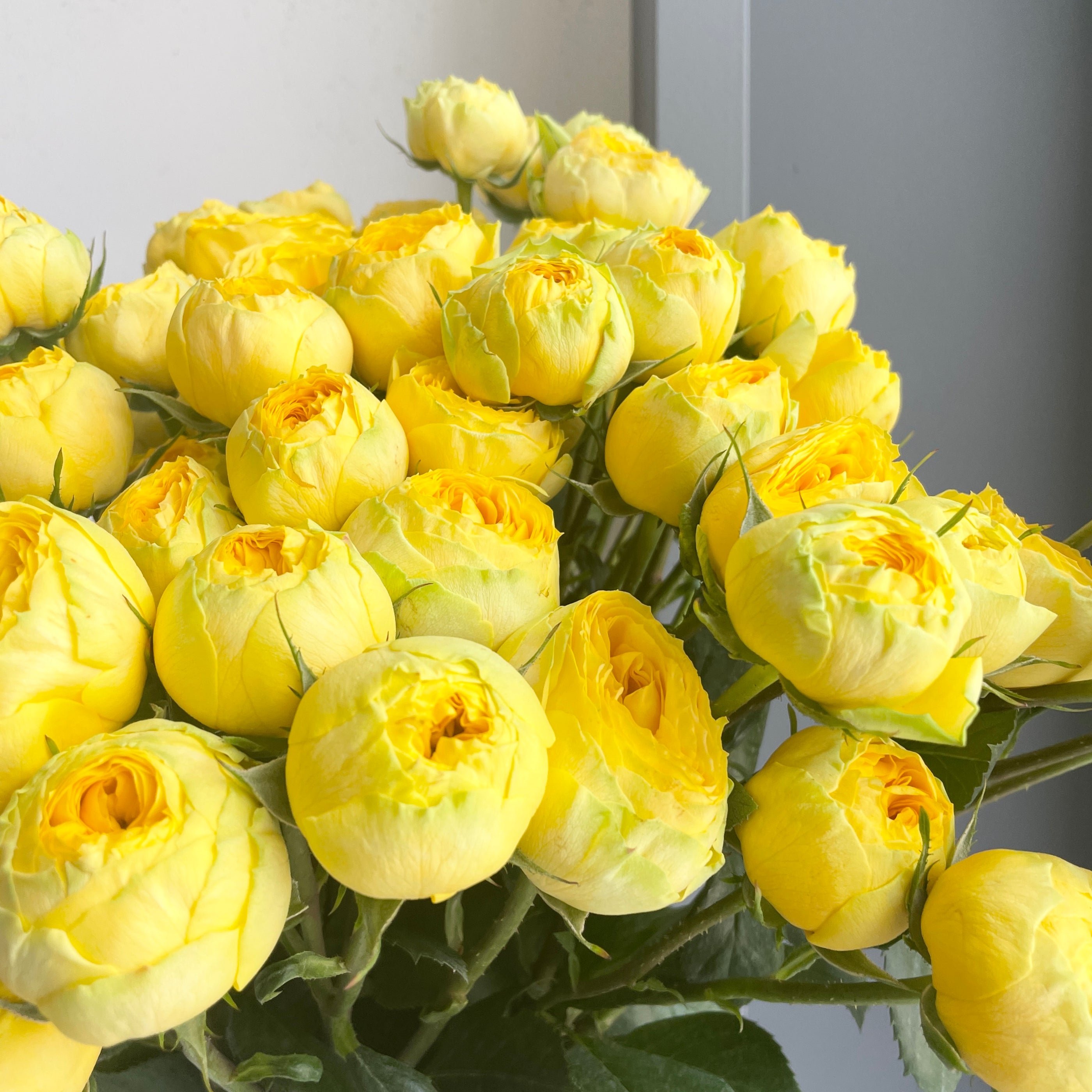 Florette's Flower Market