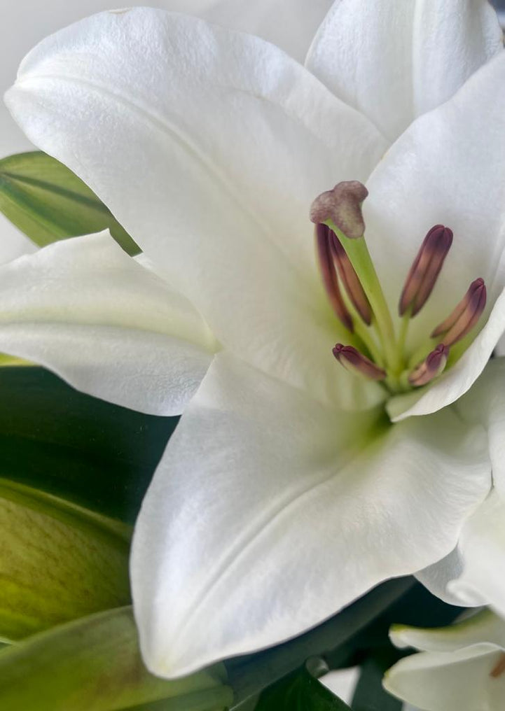 Florette's Flower Market